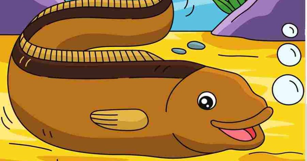 Mi a különbség a két hal között? Rendkívüli képességeid vannak, ha ...