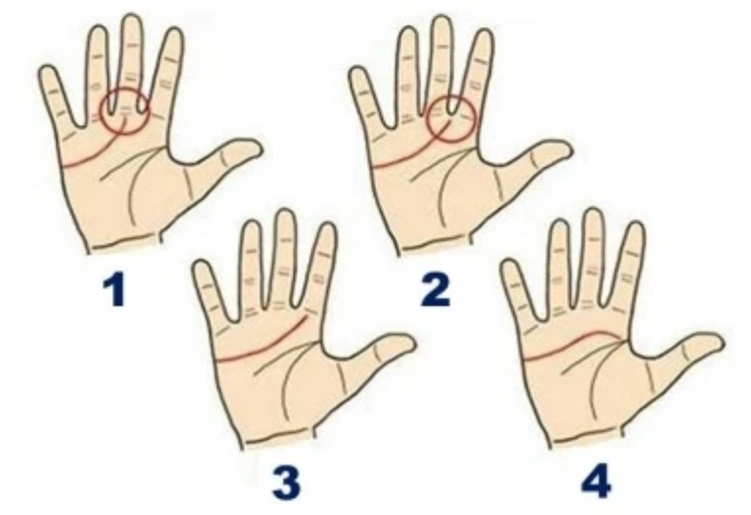 Milyen a vonal a tenyereden? Sokat elárul az életedről - Elle